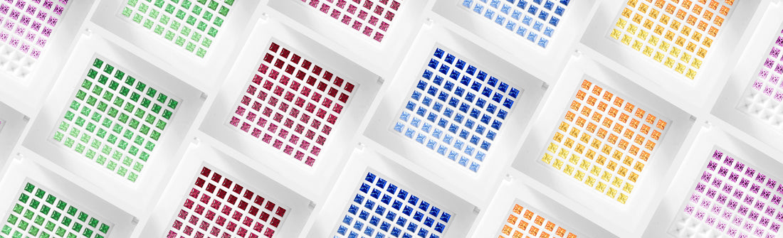 Standardized classification – Jewel100